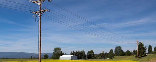 Michigan Electric Services and Programs | Wisconsin Public Service