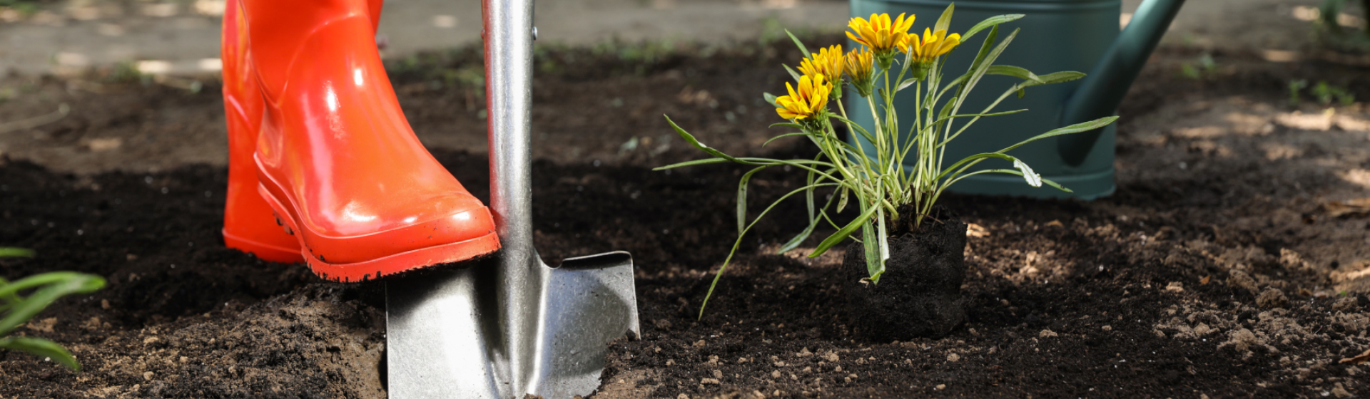 Wisconsin Public Service